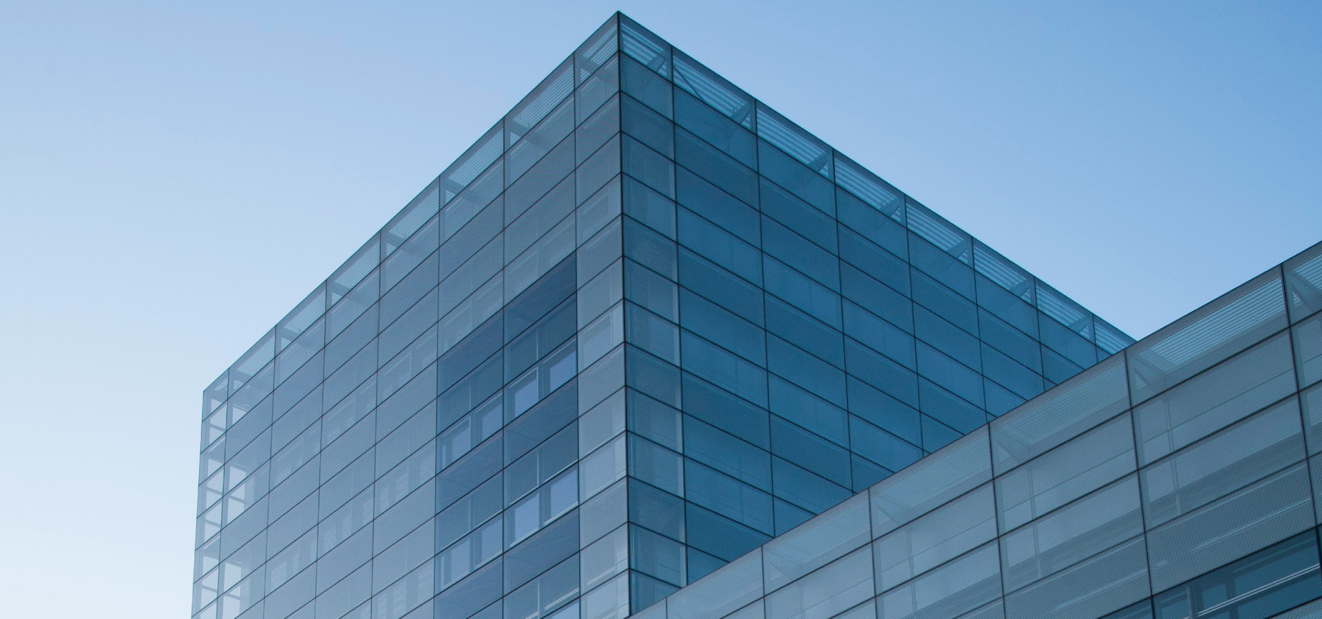 3M™ Window Film | Certified | Authorized Dealer | Sunray® Window Films